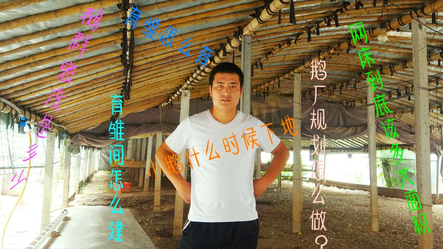 鹅厂选址后,内部的规划建设千万别马虎,你做好了吗?