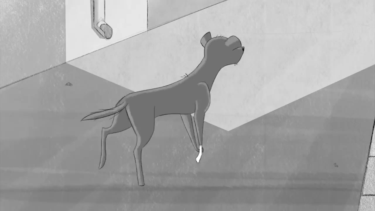 【感人动画短片】 - THE DOG - 关于一只狗的故事,最后看哭了.