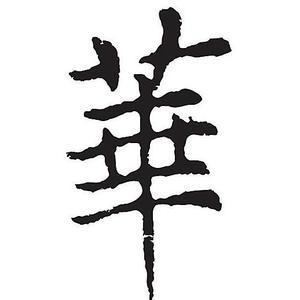 大华的游戏人生啊