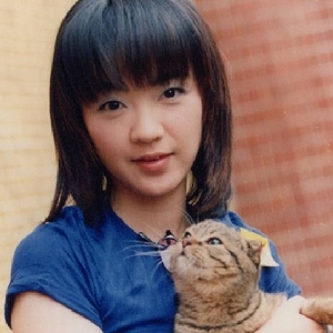 坚强的猫仔 