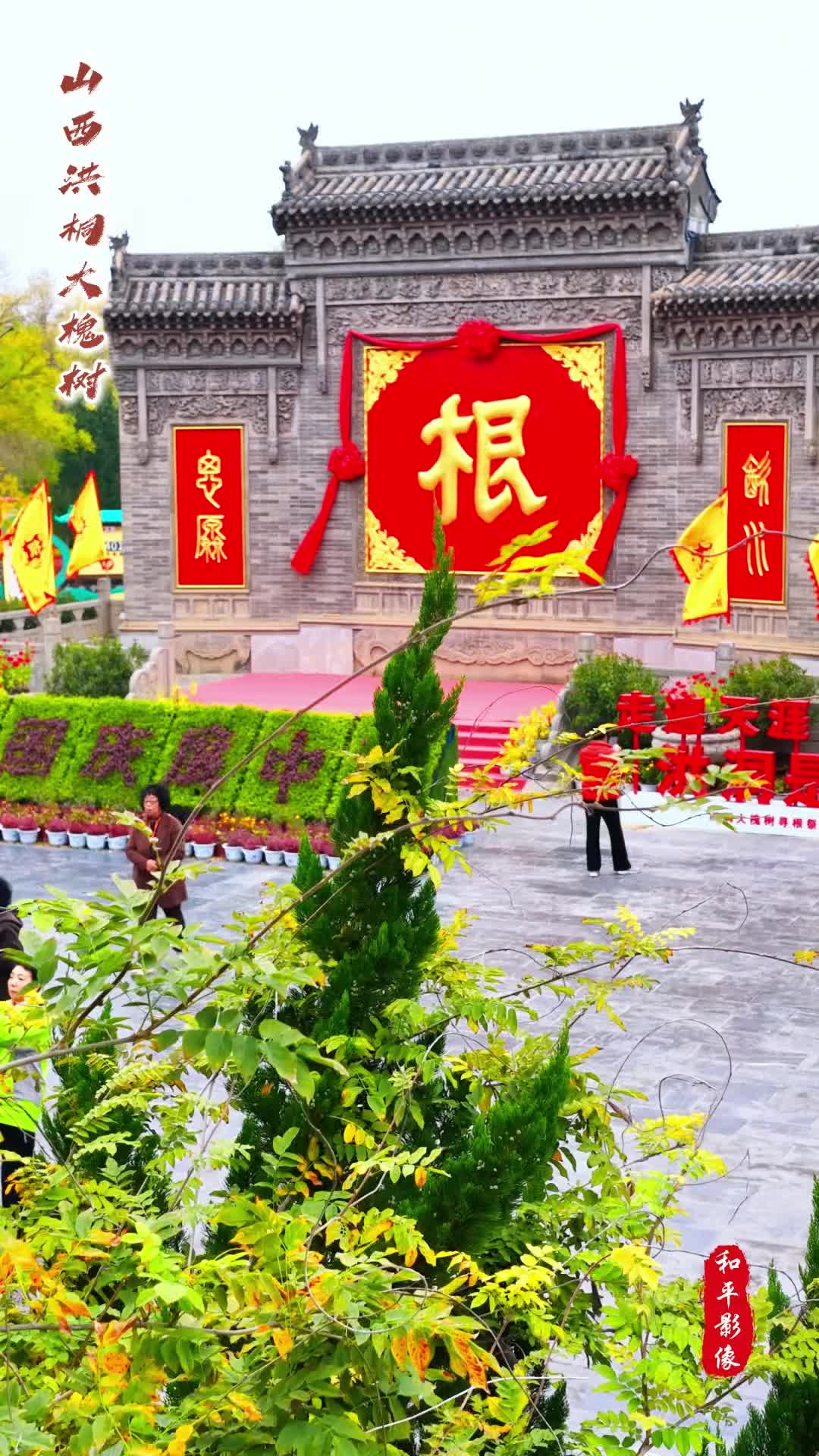 ...从明洪武元年至永乐十五年,明朝政府在大槐树下的广济寺院设局驻员,...