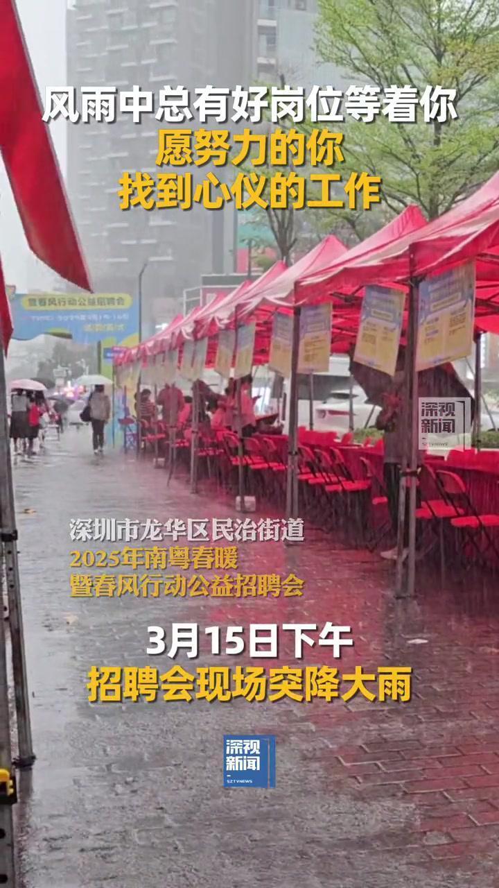 龙华区这场招聘会风雨中总有好岗位等着你