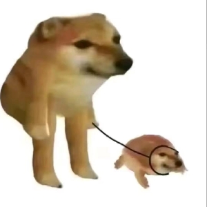 米其的论文日记 