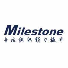 麦斯顿视角 