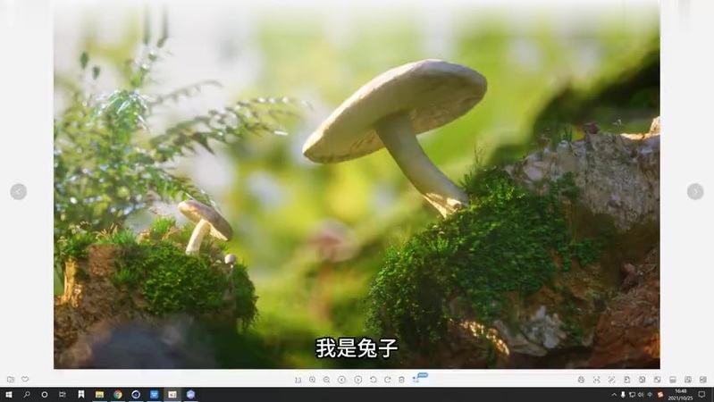 C4D教程 好看有趣的蘑菇渲染教程来了