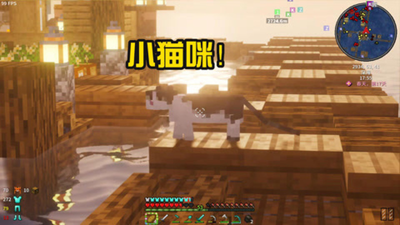 我的世界:带小猫咪回家