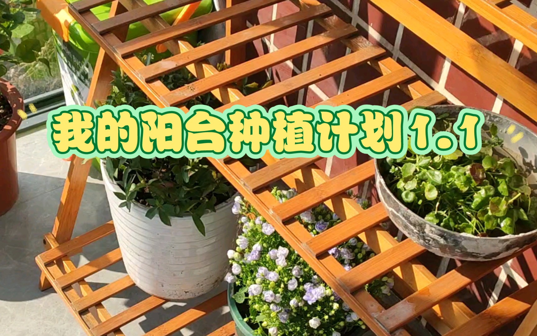 我的阳台种植计划1.1版本,这次微调整了一下