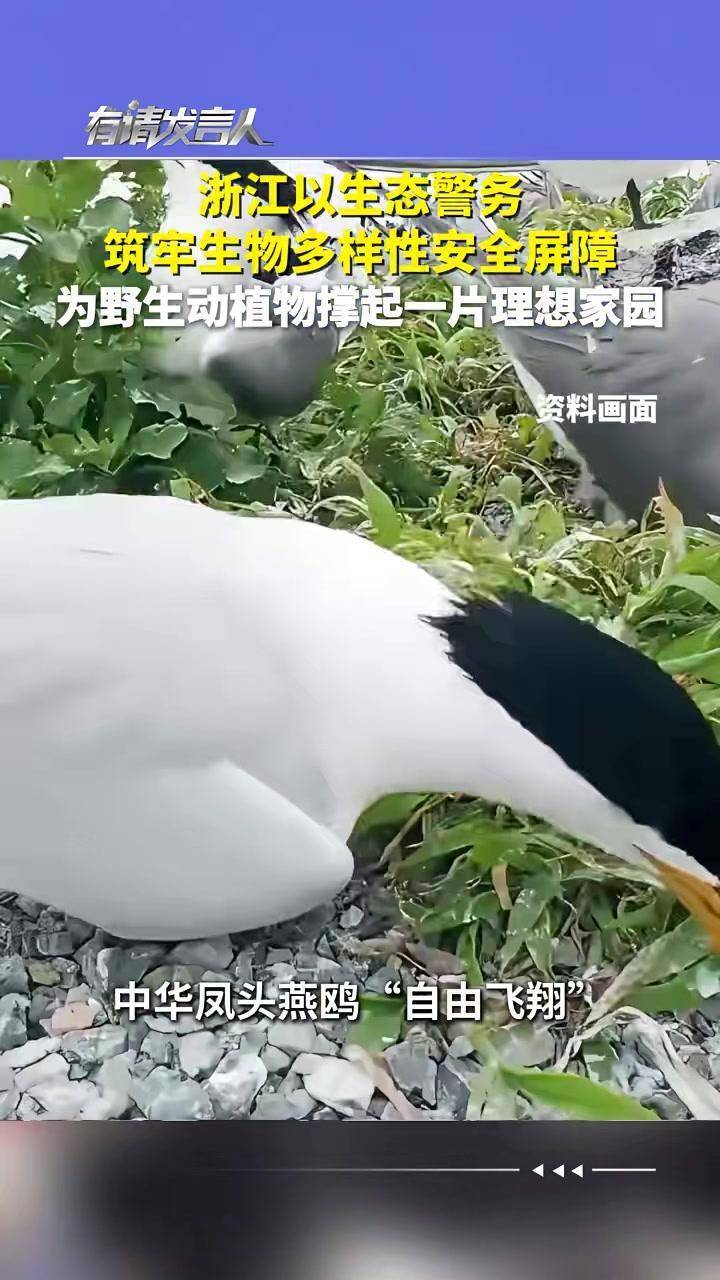浙江以生态警务筑牢生物多样性安全屏障,为野生动植物撑起一片理想...