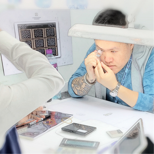 第六珠宝胡剑三 