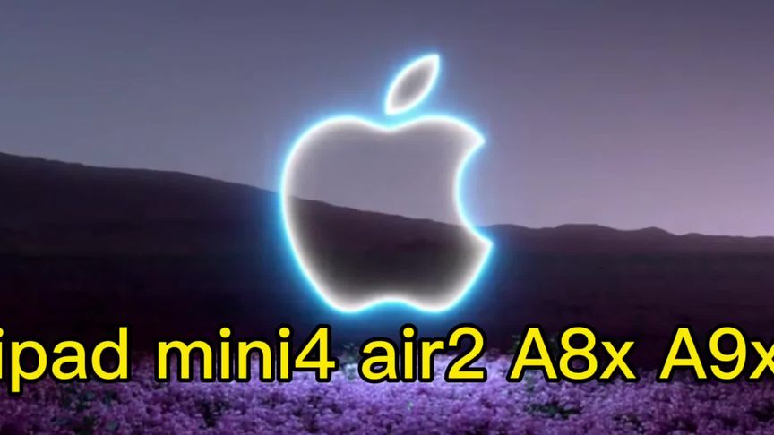 iPad mini4 air2 checkra1n 卡booting 不跑码专用#checkra1n