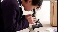 济南版七年级生物上册显微镜的使用---观察