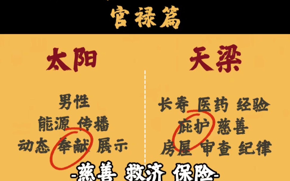 紫微斗数官禄宫太阳天梁职位怎么选