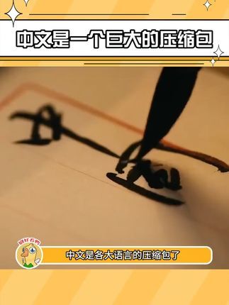 #中文是一个巨大的压缩包 终于知道为什么说中文是各大语言的压缩包...