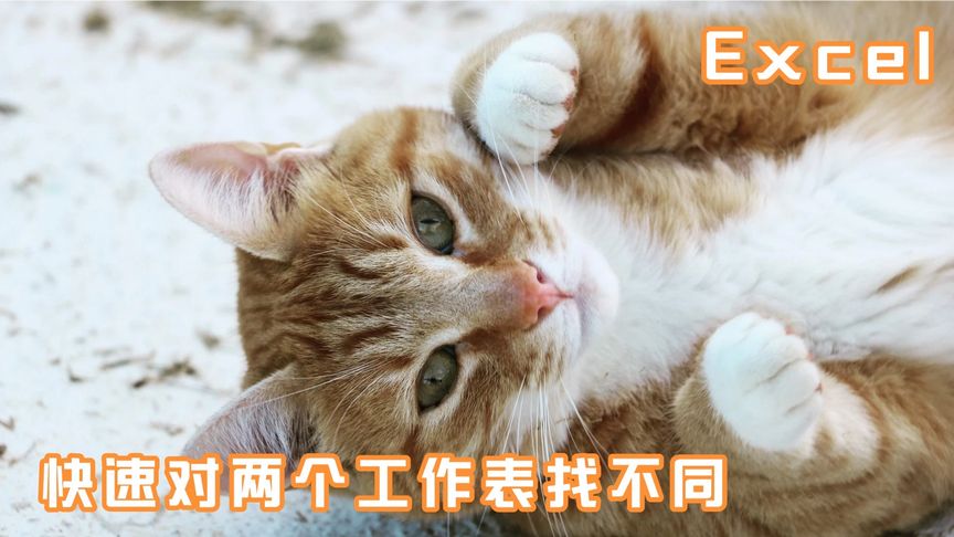 Excel基础(40):利用工具,快速查找定位两个工作表的不同之处