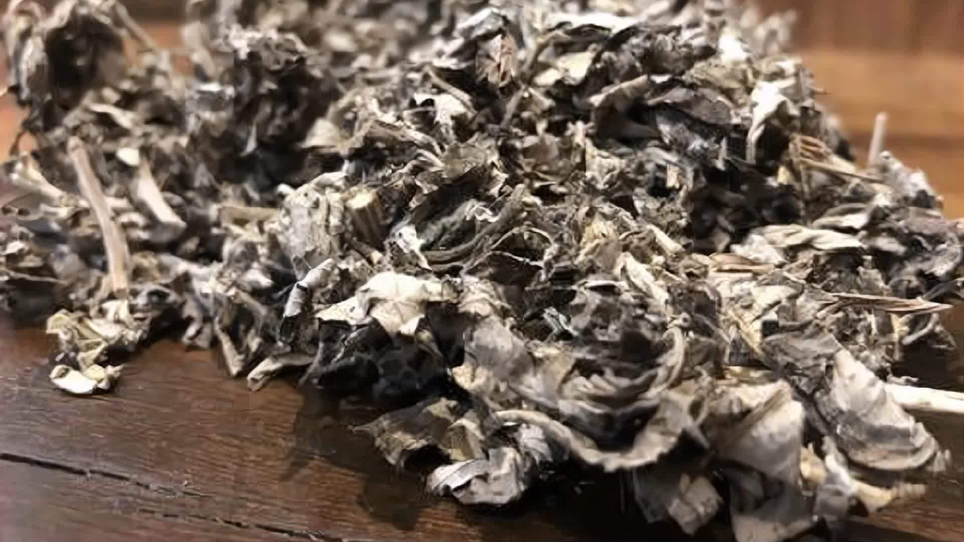 才知道,艾草还有这3大强大作用,省钱又实用,看完回家快试试