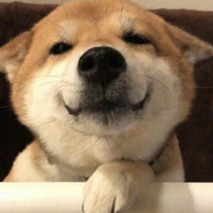 慕乔ln 