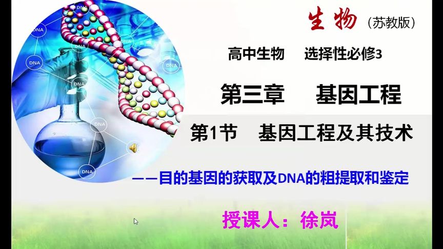 目的基因的获取及DNA粗提取