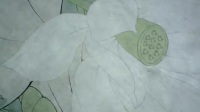 国画毛笔画荷花教程