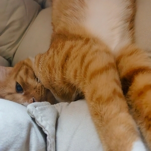 购物就分享的爆痘衮衮 