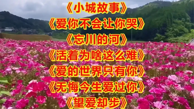 邓丽君经典歌曲