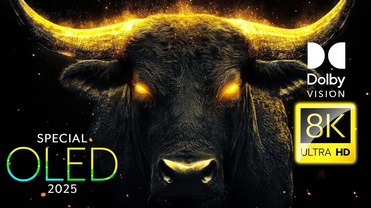 【8K HDR】8K HDR OLED视觉效果–DOLBY VISION 60FPS,清晰度...
