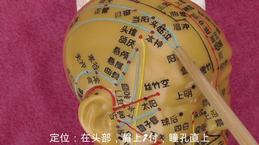 阳白:清沥头脑的止痛穴 功能及主治:眩晕,颈项强急,眼红肿疼痛