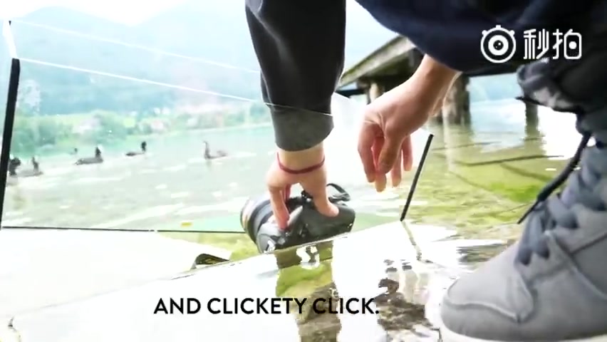 合理利用生活物品也能拍美照? 九招摄影秘诀拿走不谢!