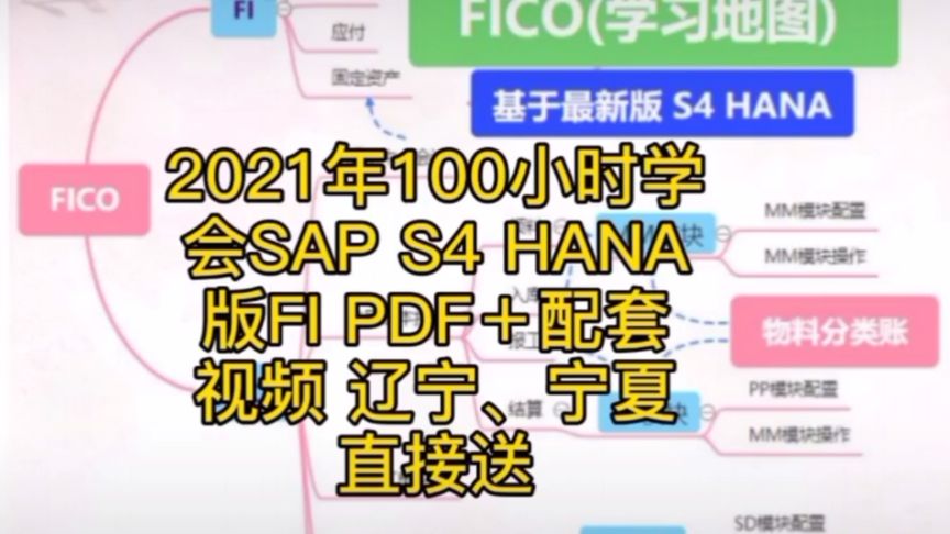 sap fico sap s4 hana sap入门 ero入门saps4hana