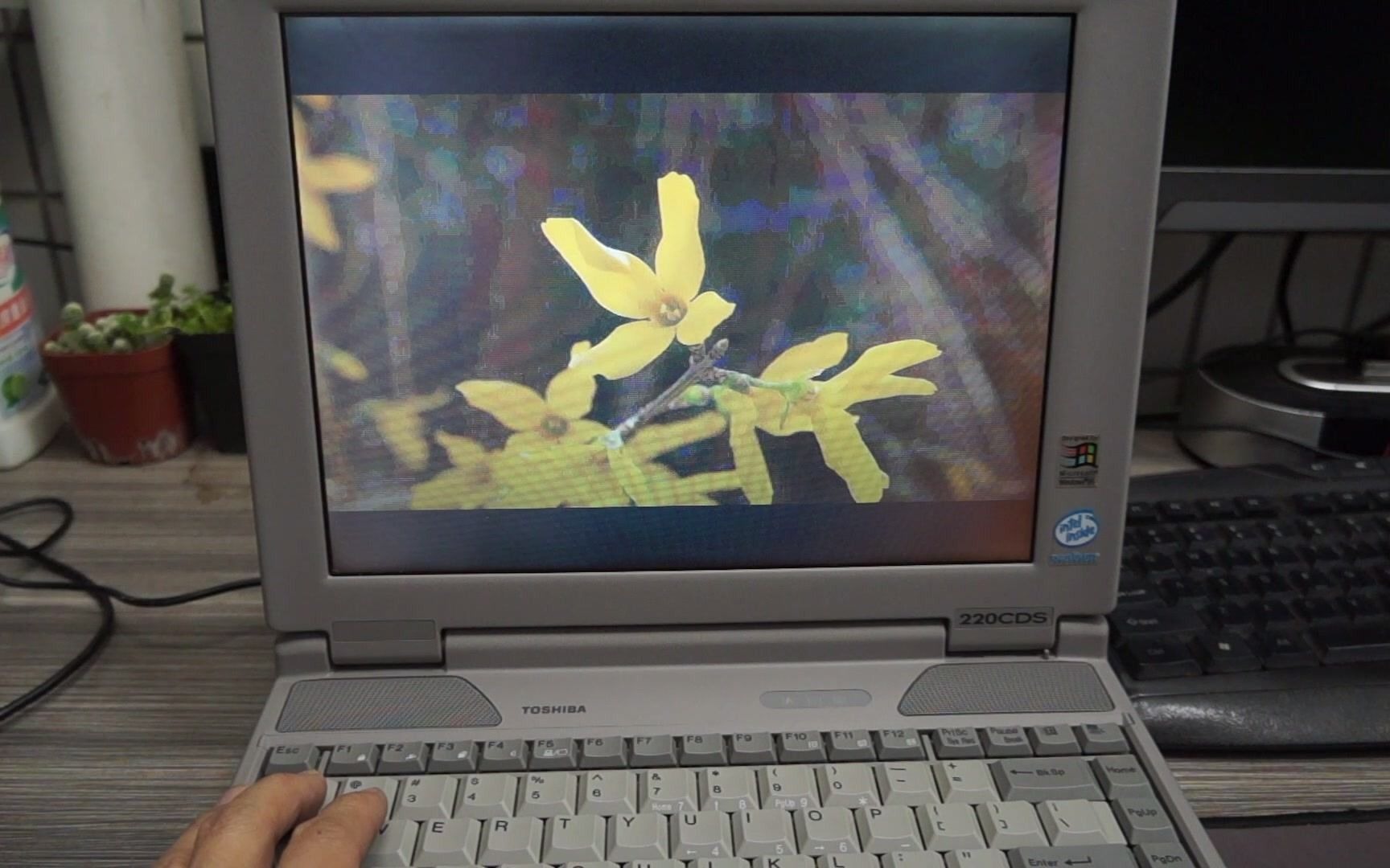 DOS系统应用连载【05】DOS版看图软件SEA和Acrobat PDF阅读...