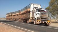 澳大利亚重型卡车牵引三辆挂车, 车身很长超车费时