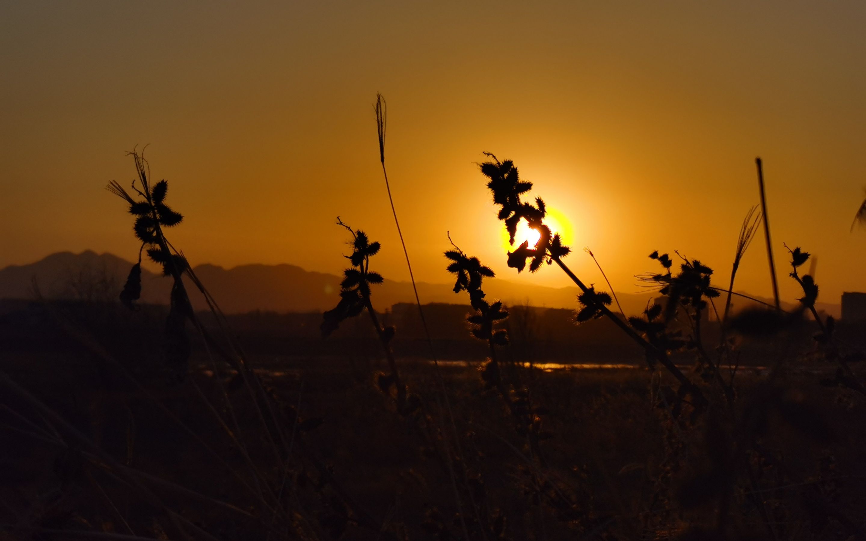 诵读经典:《十一月四日风雨大作》陆游