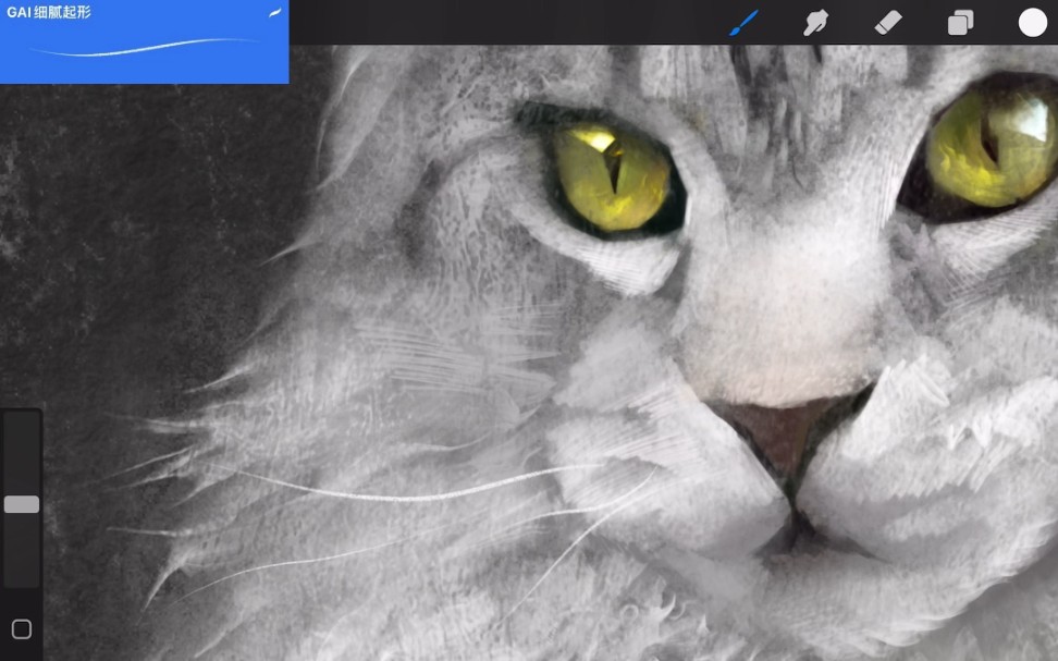 画了一只缅因猫