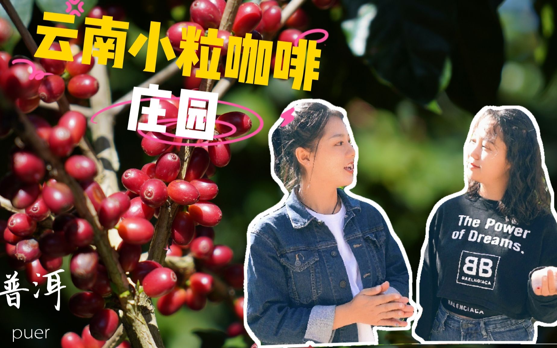 云南普洱:除了举世闻名的普洱茶还有上好的小粒咖啡,你去过吗?