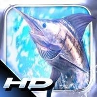 海鲨13 