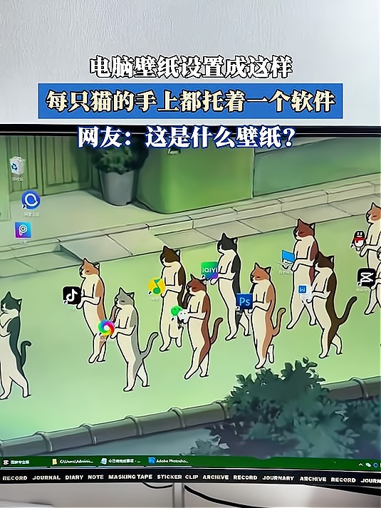 电脑壁纸设置成这样,每只猫的手上都托着一个软件