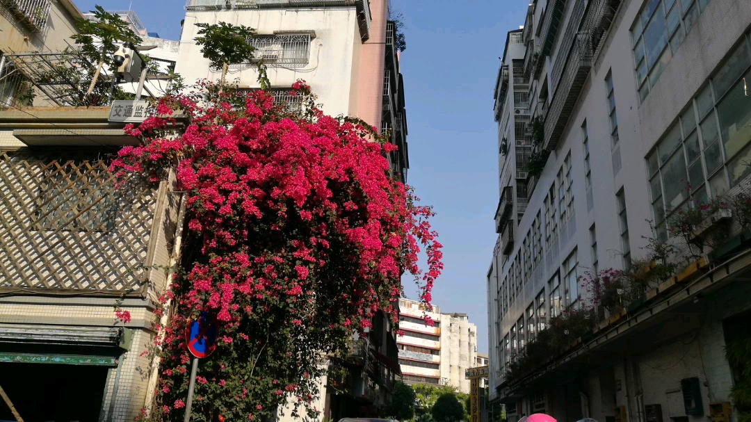 感谢华为P9 Plus陪伴了我6年,这段时间前度已为人母,我小女儿也3岁多...