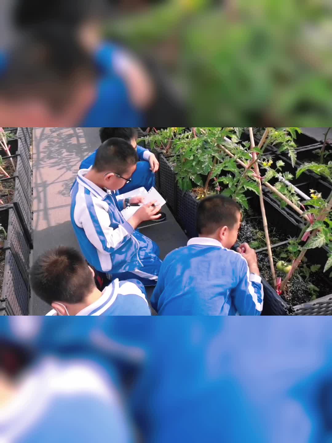 ...劳动教育实践基地提供校园农场;还可供应企业共享菜园和农场设计活动