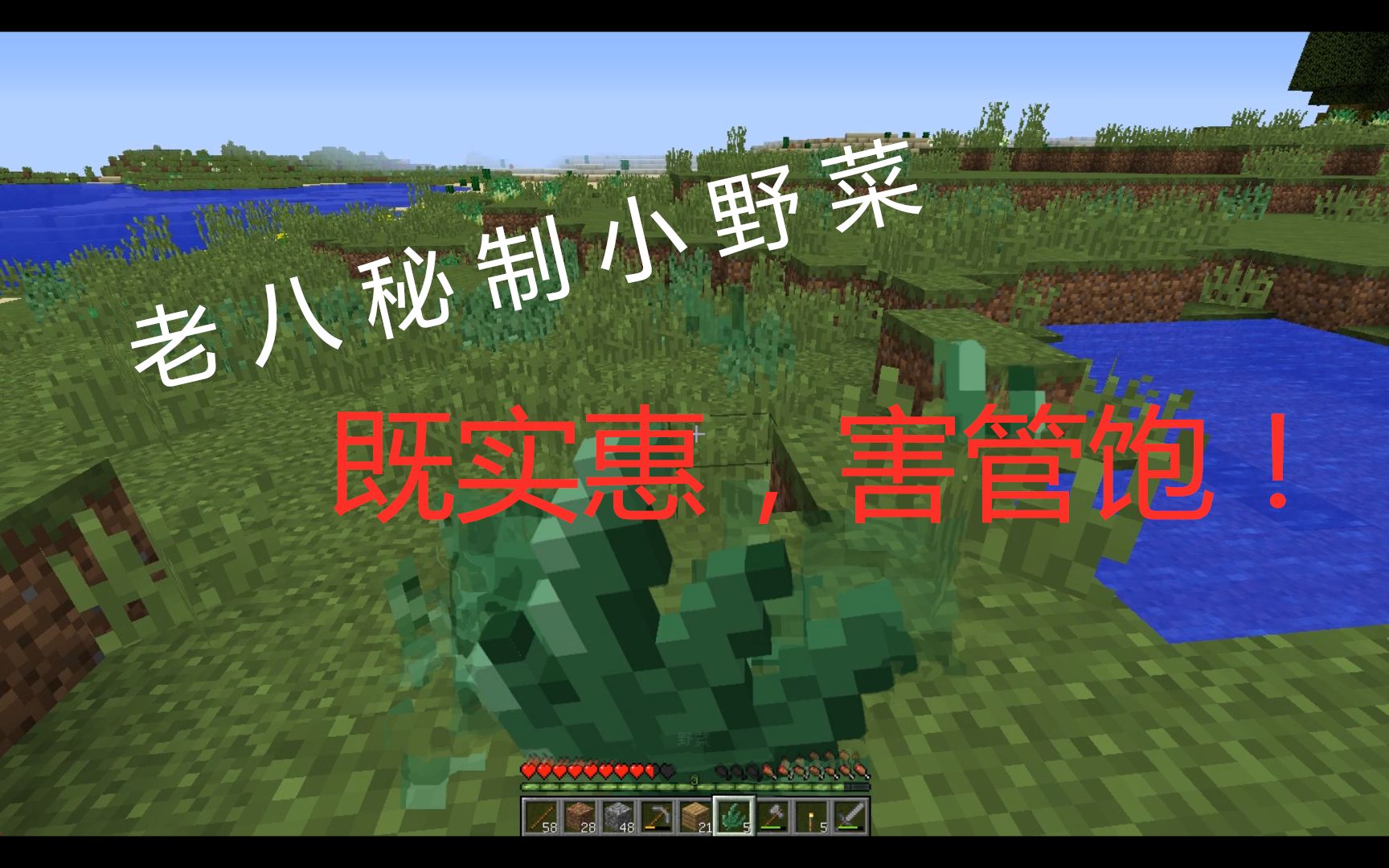 [ZCHB]我的世界多MOD生存:这个世界是怎么了!