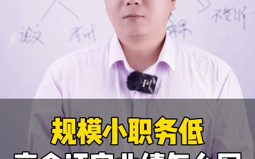 规模小职务低高会评审业绩怎么写?-领匠教育