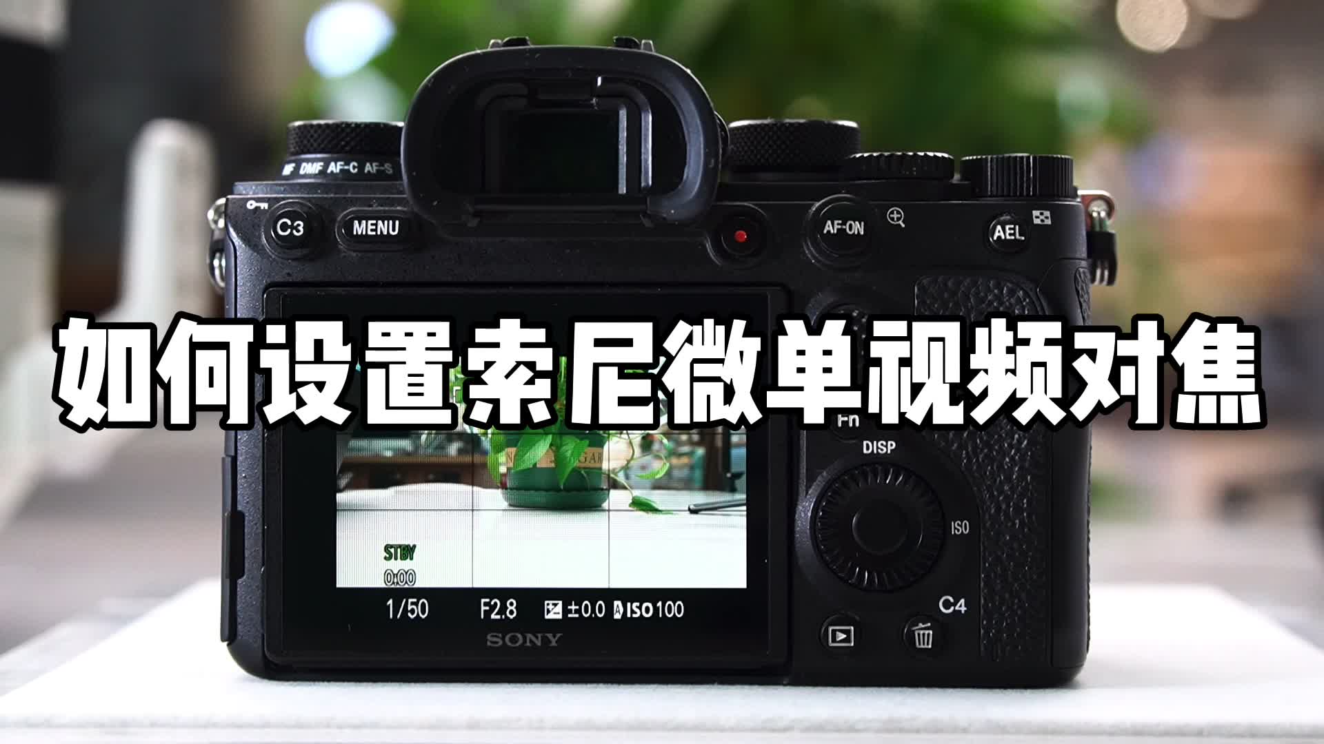 如何设置索尼微单视频对焦