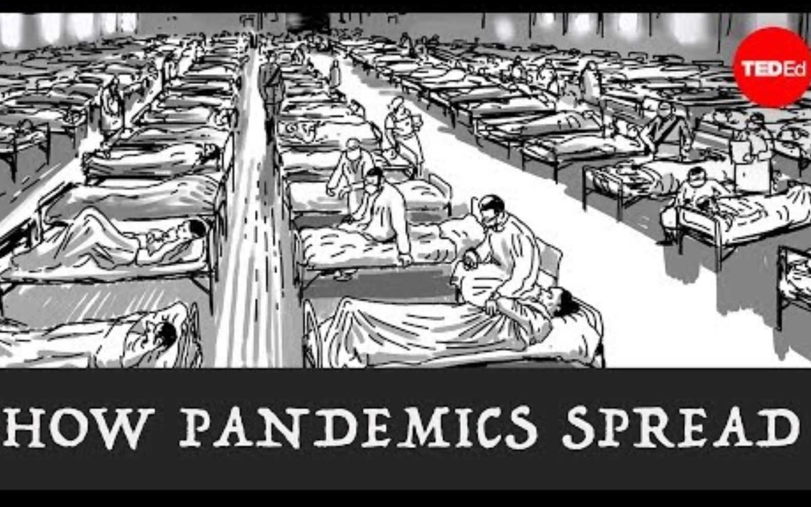 【Ted-ED】传染病是如何传播的 How Pandemics Spread