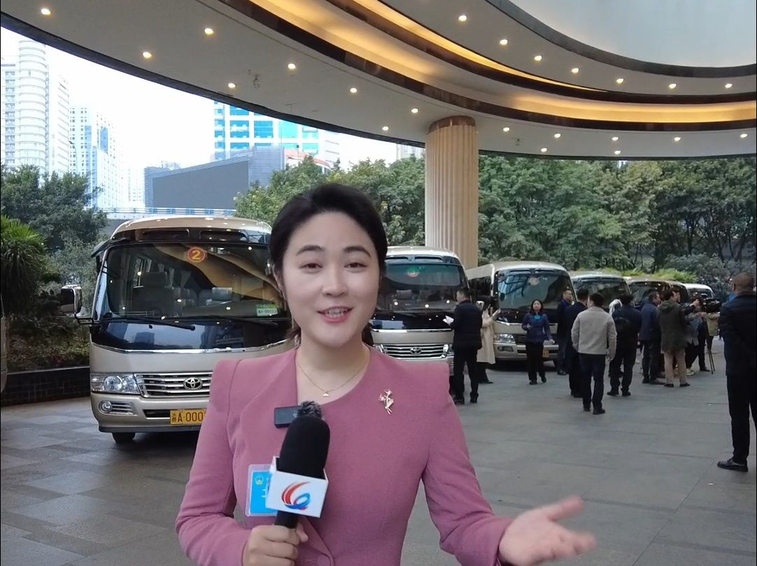 ...人大二次会议将于3月5日在北京开幕。3月3日早上,在渝全国人大代表...