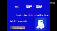 少儿英语单词速记——tail