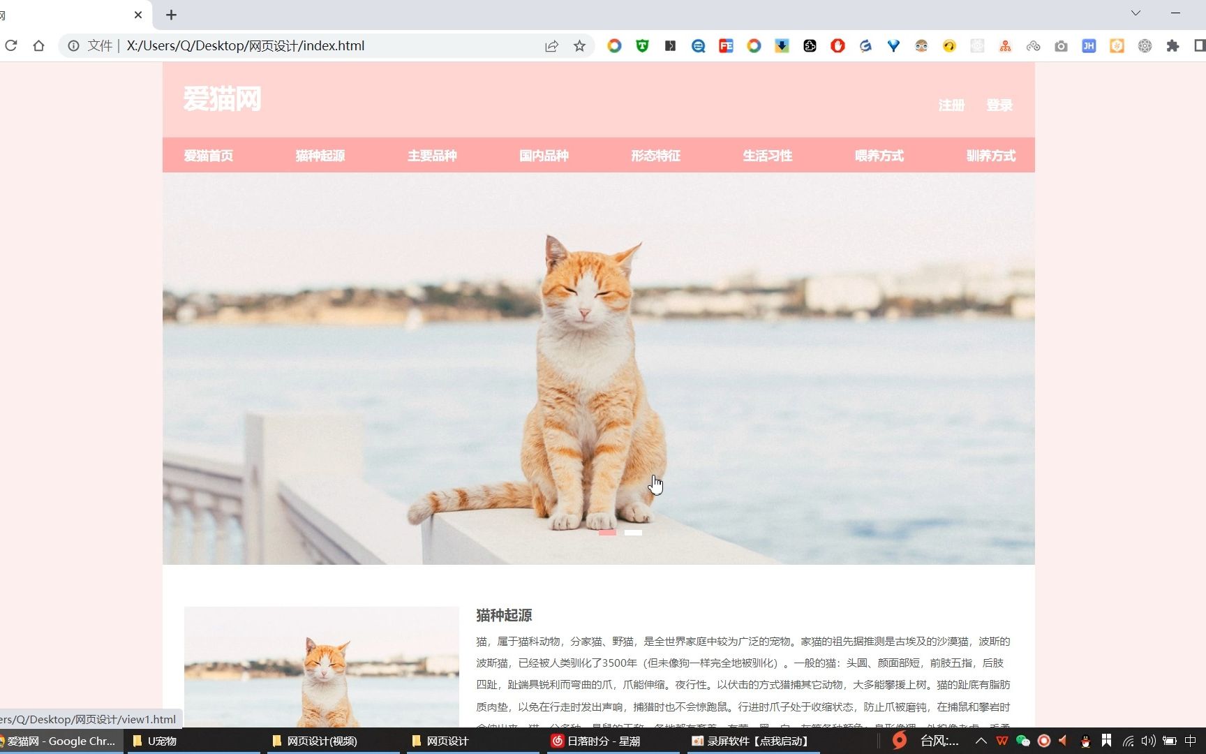 【HTML+CSS】宠物猫(10页) 网页设计实践作业 网页设计作业 网页...