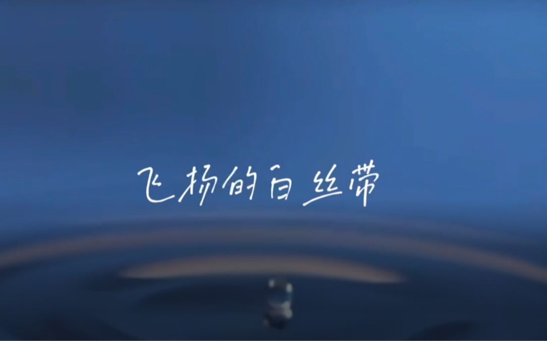 社会工作反家庭暴力参赛视频——飞扬的白丝带