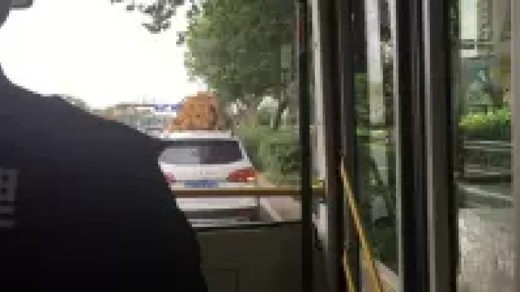 青岛公交隧道1路澳柯玛工业园-青大附院西海岸院区东门