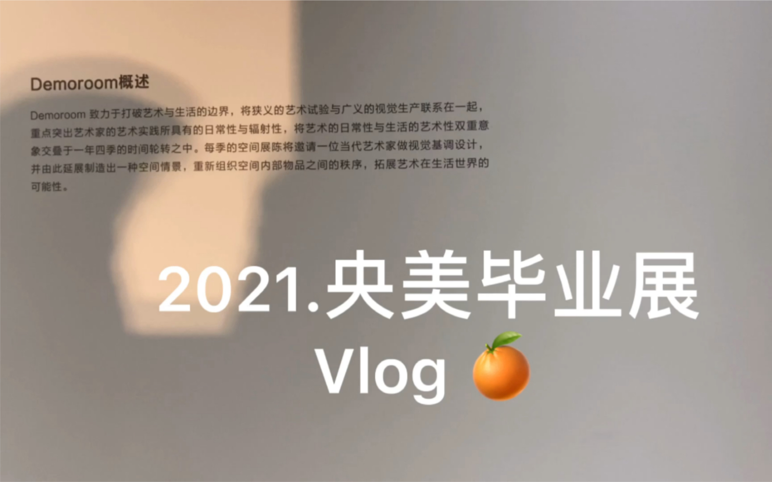 2021.央美毕业展Vlog