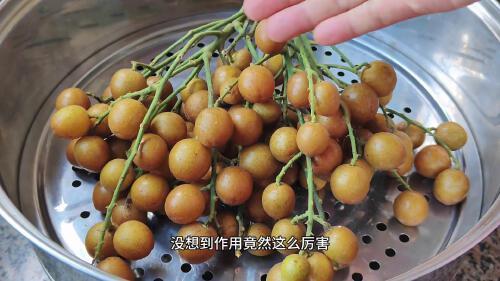 黄皮果放锅蒸一蒸,作用太厉害了,98岁老中医的秘诀,省钱又实用