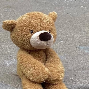 炭烧小熊 