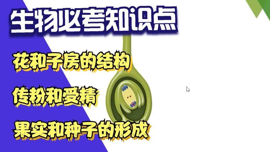 【生物必考知识点】花和子房的结构、传粉和受精、果实和种子形成